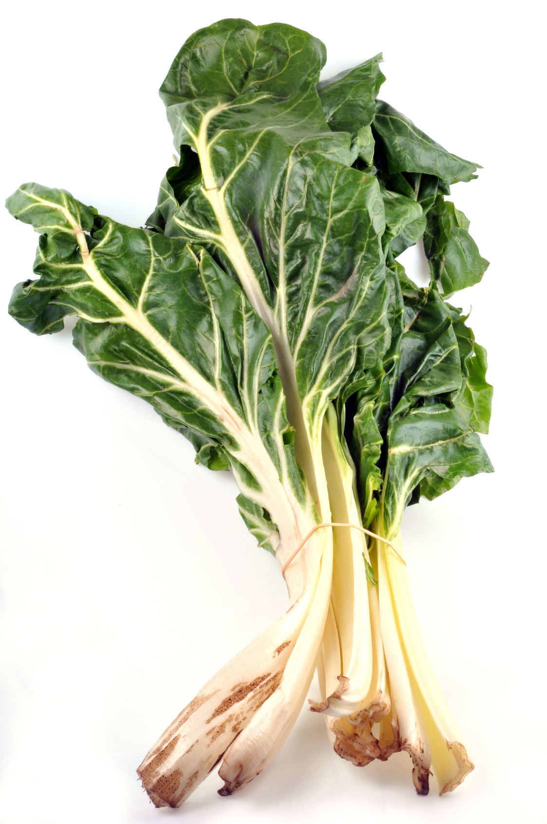 Gratin de bettes - France Lait