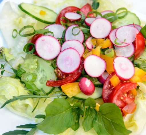 “LEBANON” Lebanese salad - France Lait